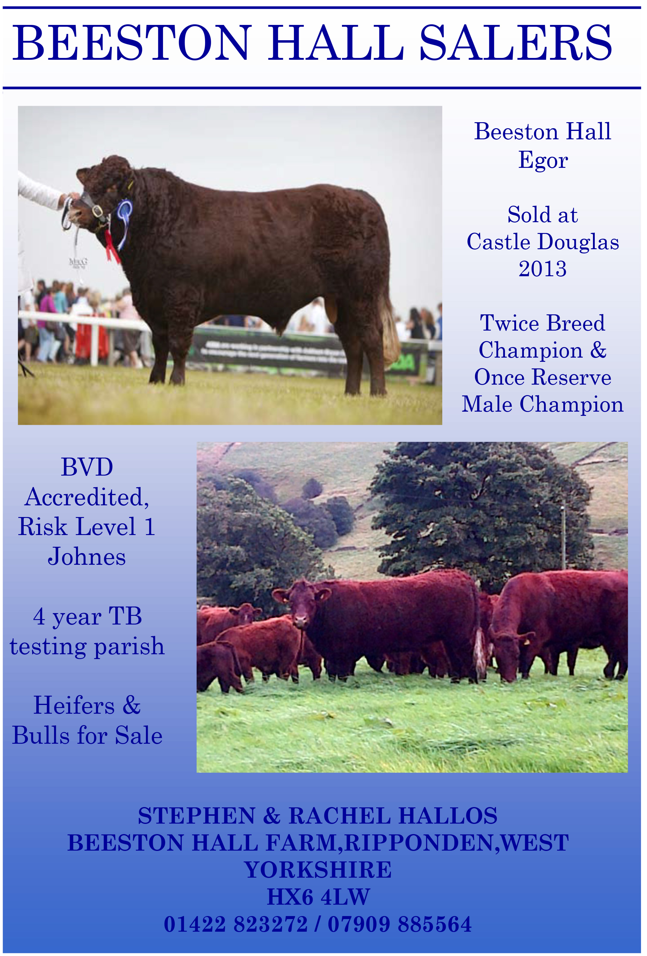 Beeston – Salers Cattle Society