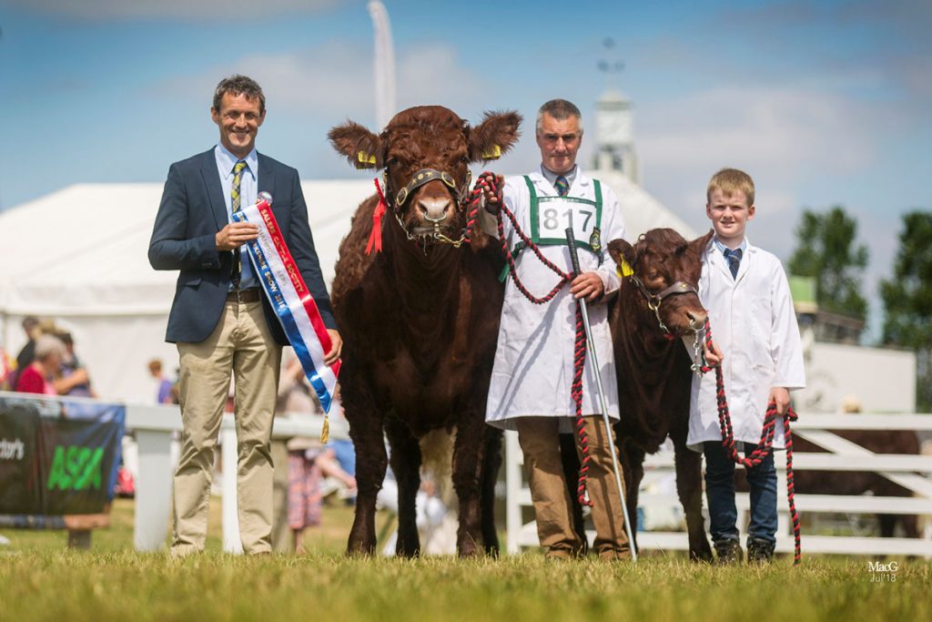 Bac Jessie Jay Champ web | Salers Cattle Society